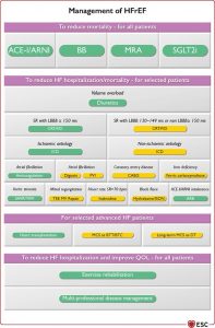 Optimisation of Heart Failure with Reduced Ejection Fraction (HFrEF ...
